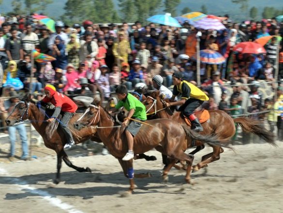 Ini nama kuda final pacu kuda Gayo – LINTAS GAYO