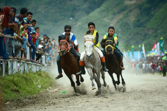 Nama-Nama Kuda Final Pacuan Kuda Gayo HUT ke-72 RI, Minggu 27 Agustus ...